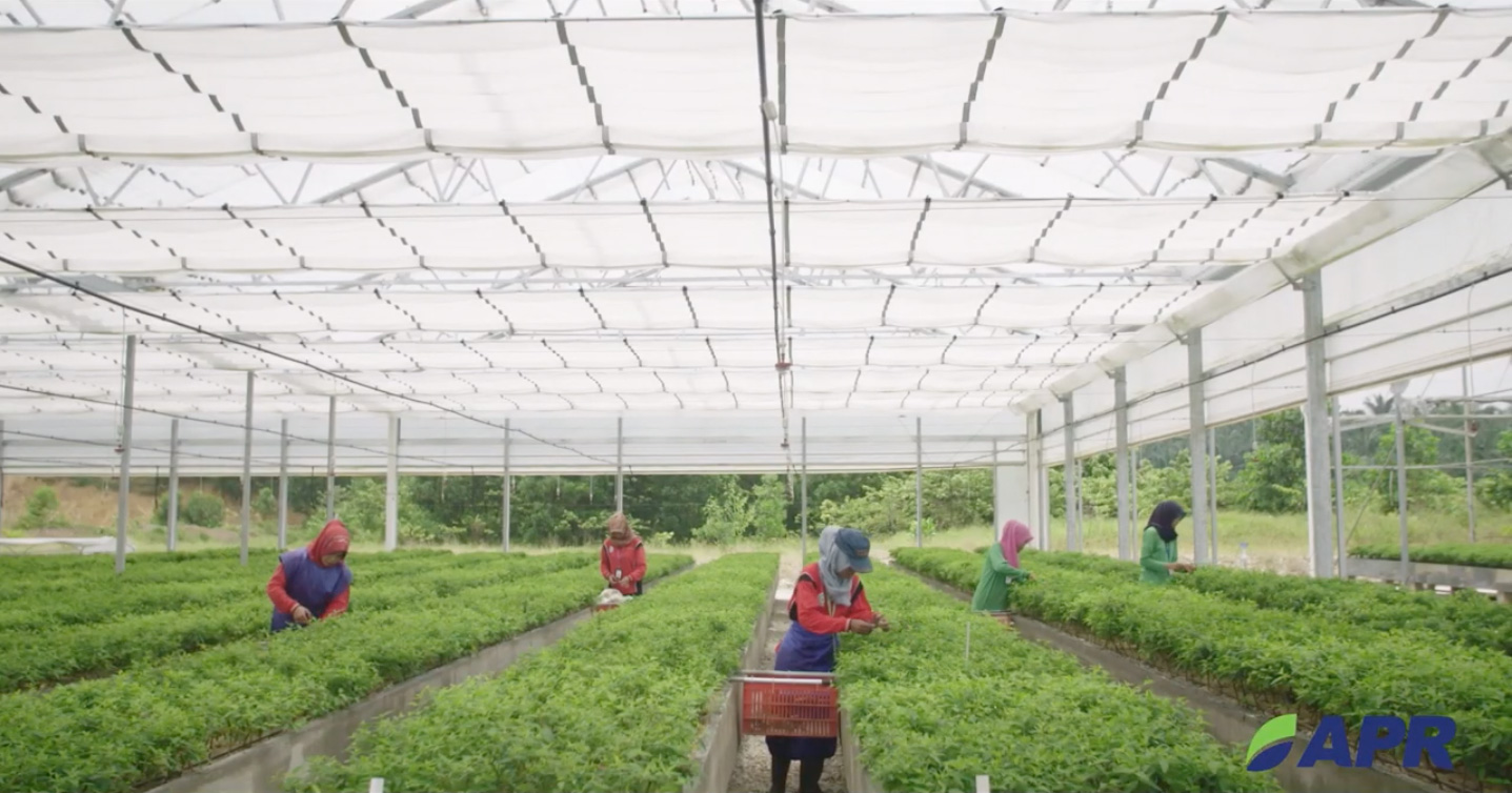 About Us | Asia Pacific Rayon